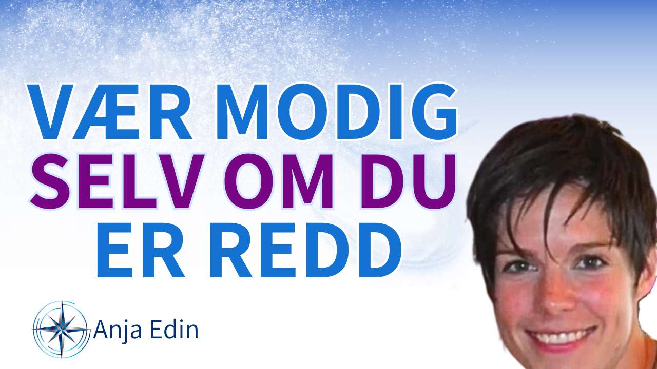 FEARLESS - Wisdom From North